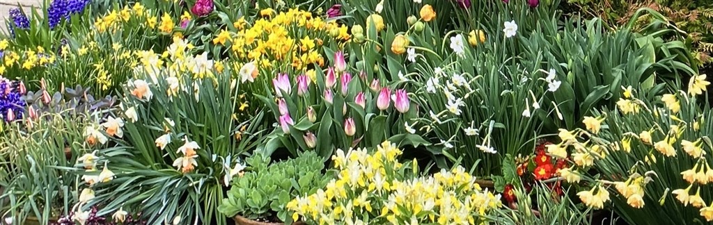 The Cross Stitch Guild | Online Cross Stitch Shop and Membership | Jane ...