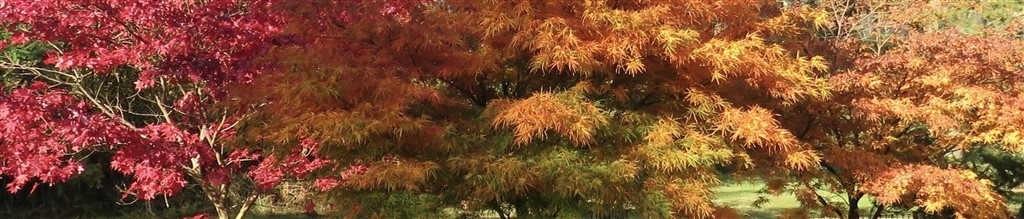 The Cross Stitch Guild | Online Cross Stitch Shop and Membership | Jane ...